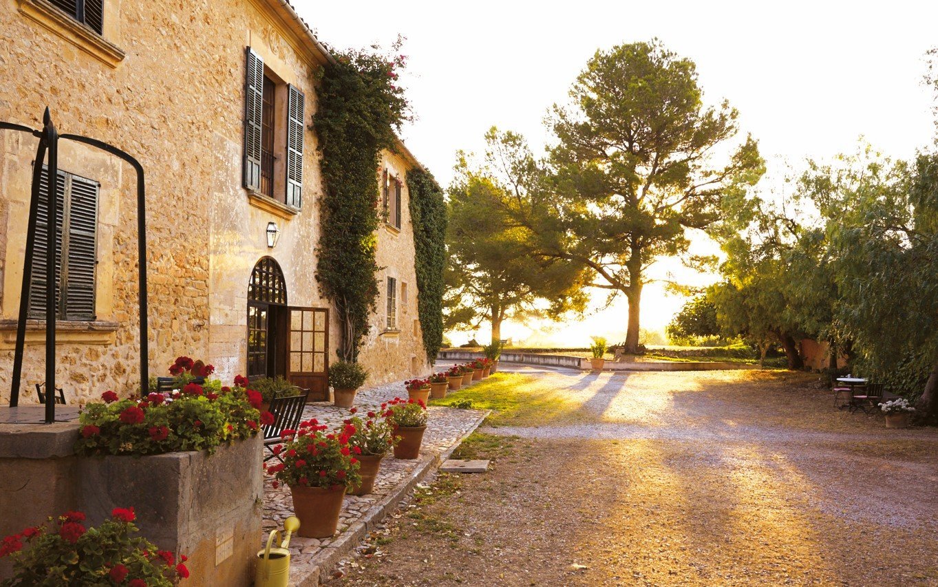 Visita una bodega de Mallorca con cata de vinos