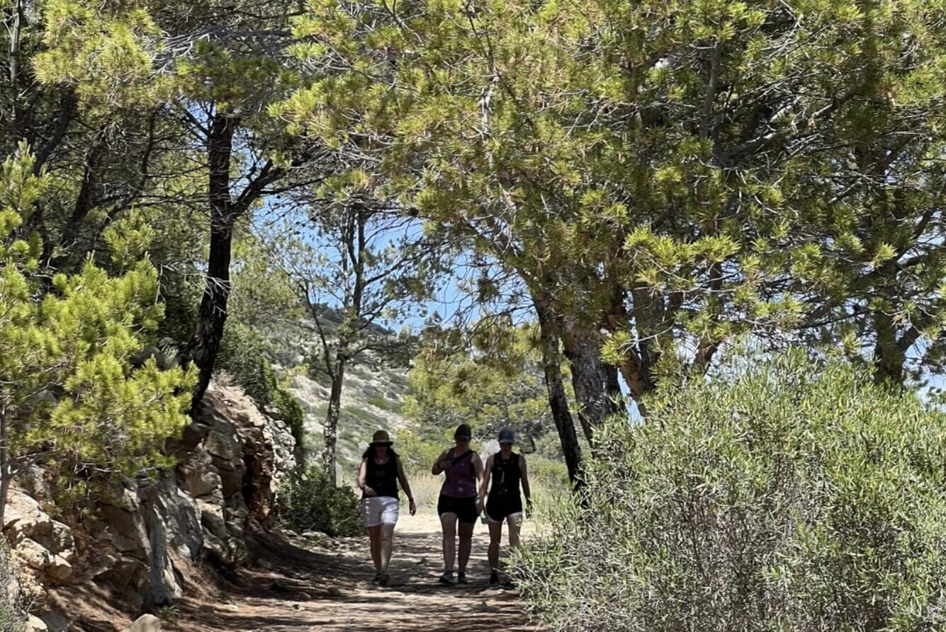 Excursion en barco a la Isla Dragonera en Mallorca desde 31€