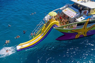 Things to do in Cala d'Or: excursions & boat trips | Click-Mallorca